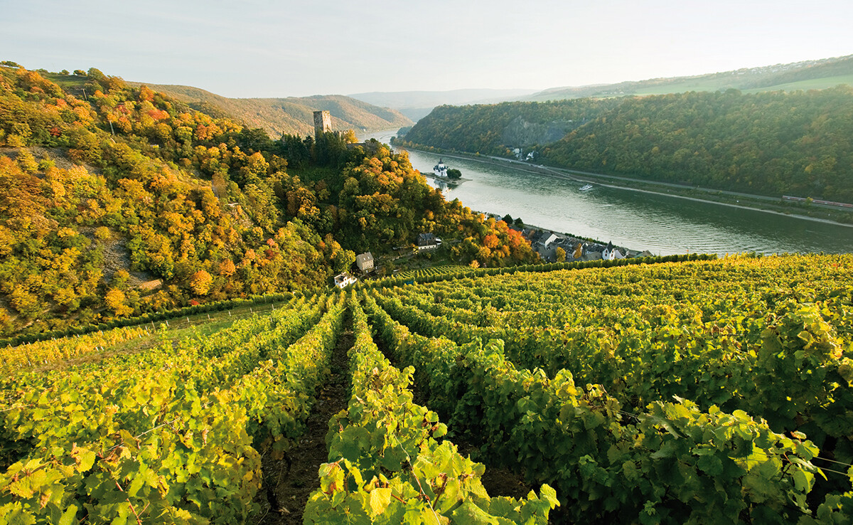 The Wine City of Koblenz | A Unique Cultural Landscape - Visit.Koblenz